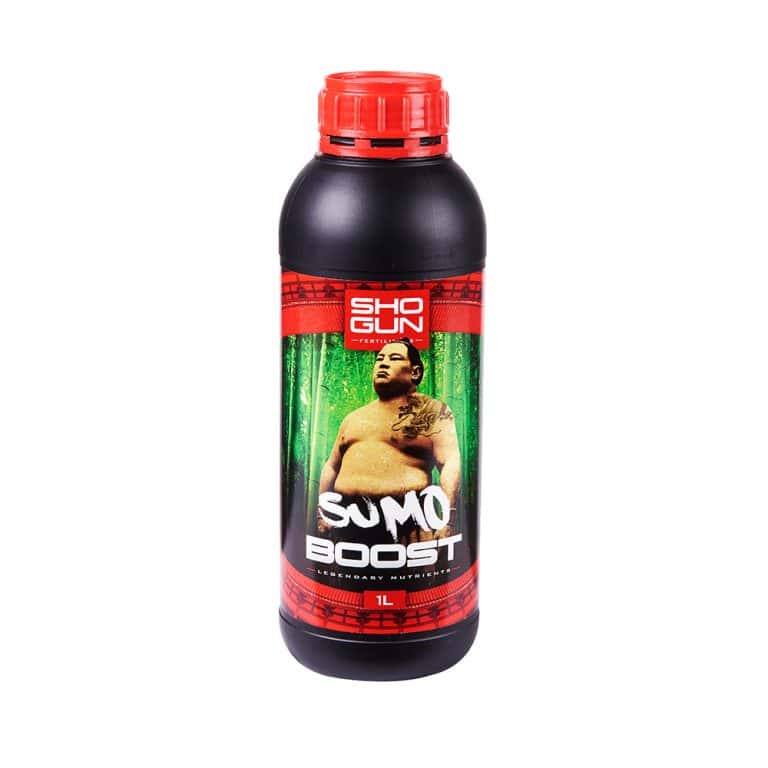 Buy Shogun Sumo Boost Online in UK at Cheap Cost- Bayton Horticulture ...