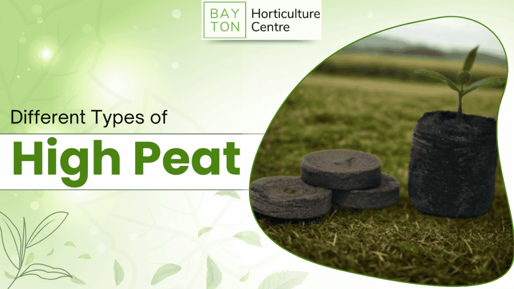 Types of High Peat: What You Need to Know - Bayton Horticulture Centre