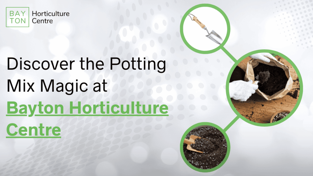 Bayton Horticulture Centre: Where Potting Mix Transforms Your Garden